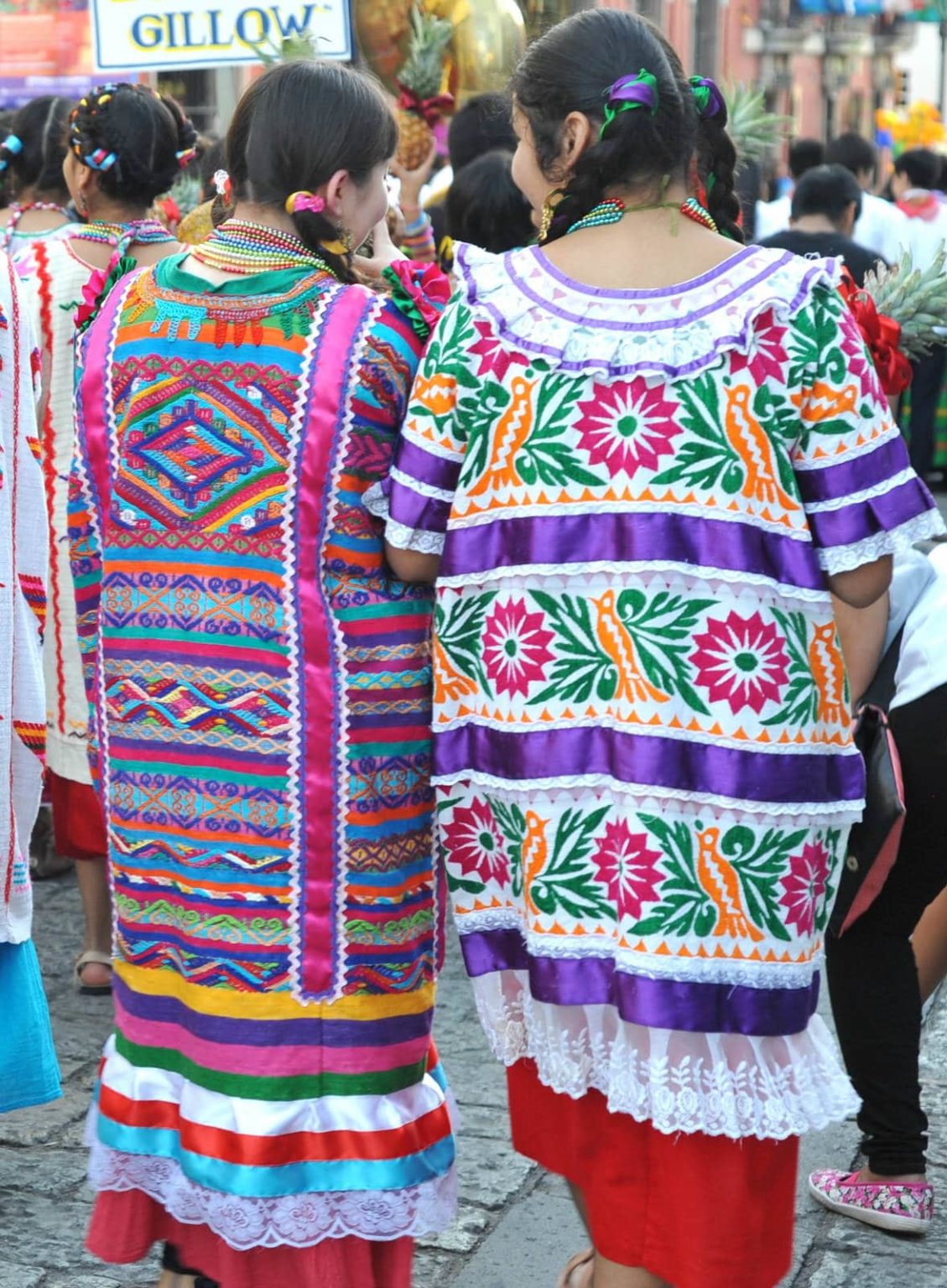 Chinantecos: Ubicación, Lengua, Organización Social y mas