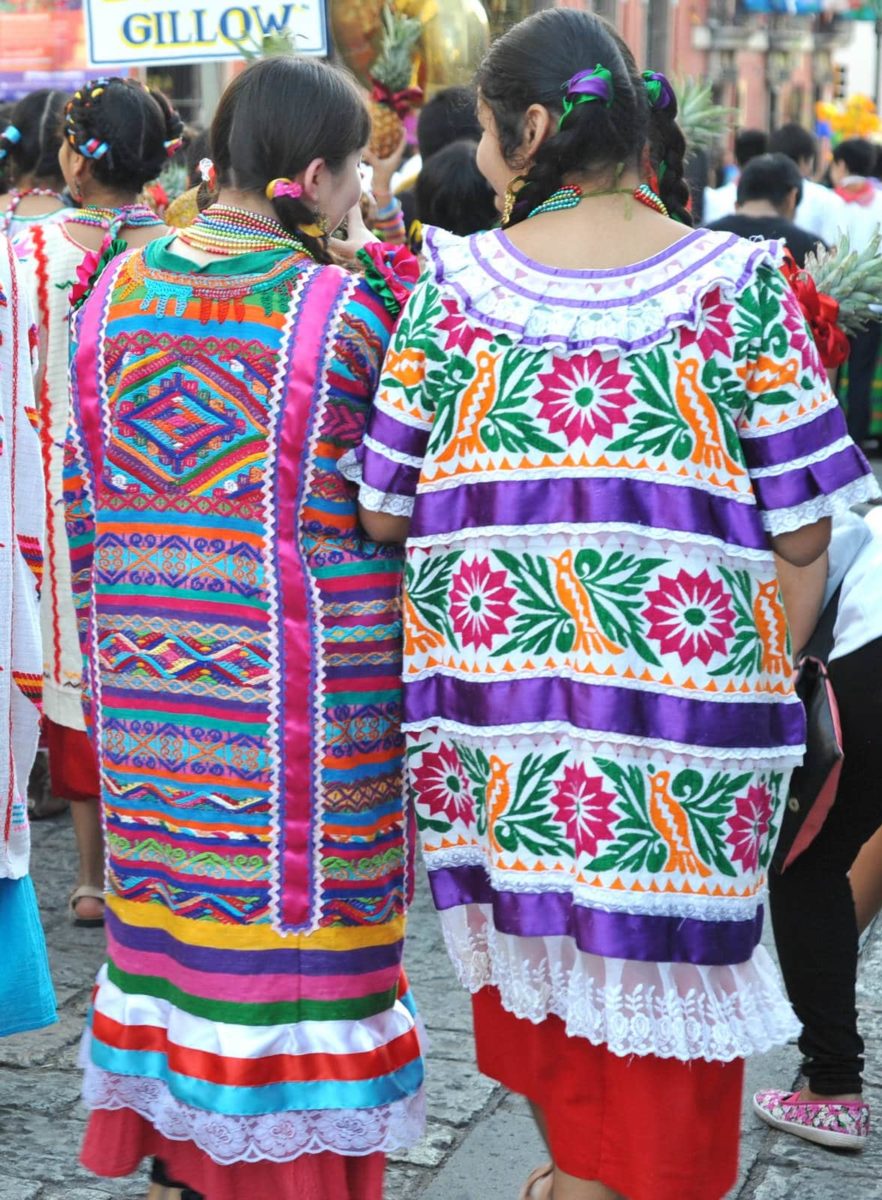 Chinantecos: Ubicación, Lengua, Organización Social y mas