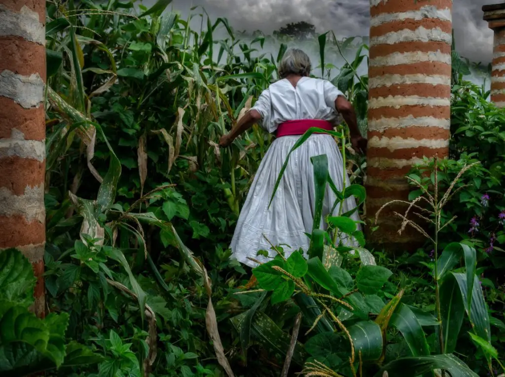 Mixtecos: Significado, Origen, Historia y mucho mas