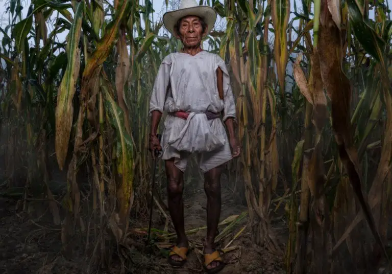 Mixtecos: Significado, Origen, Historia y mucho mas