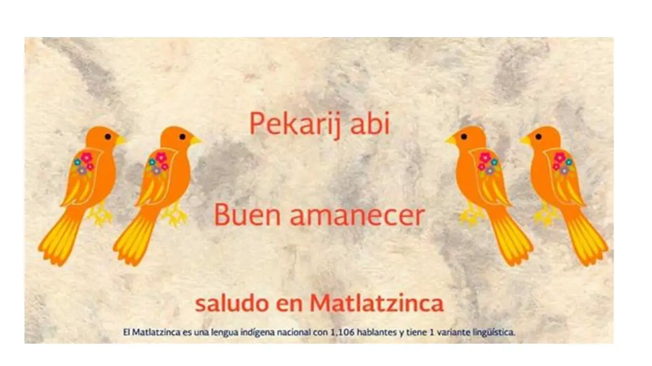 Matlatzinca: Significado, características, ubicación y mas