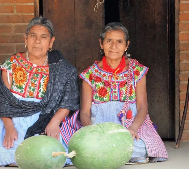 Chatinos: Ubicación, Lengua, Costumbres y mucho mas