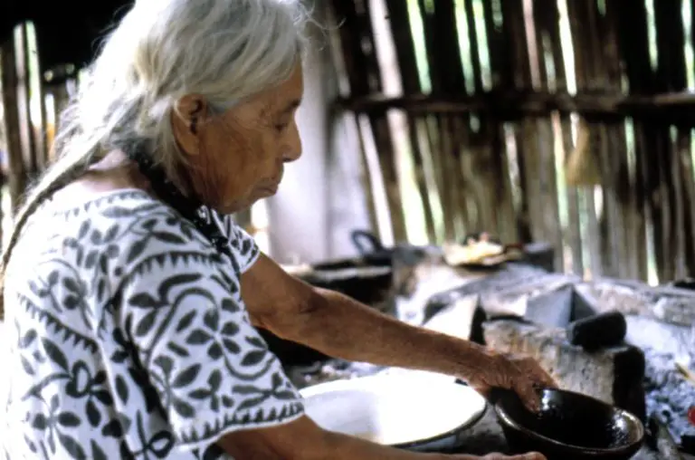 Mazatecos: ubicación, economía, organización social y mas