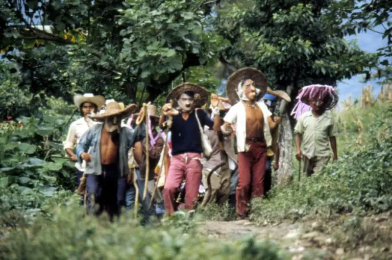 Mazatecos: ubicación, economía, organización social y mas