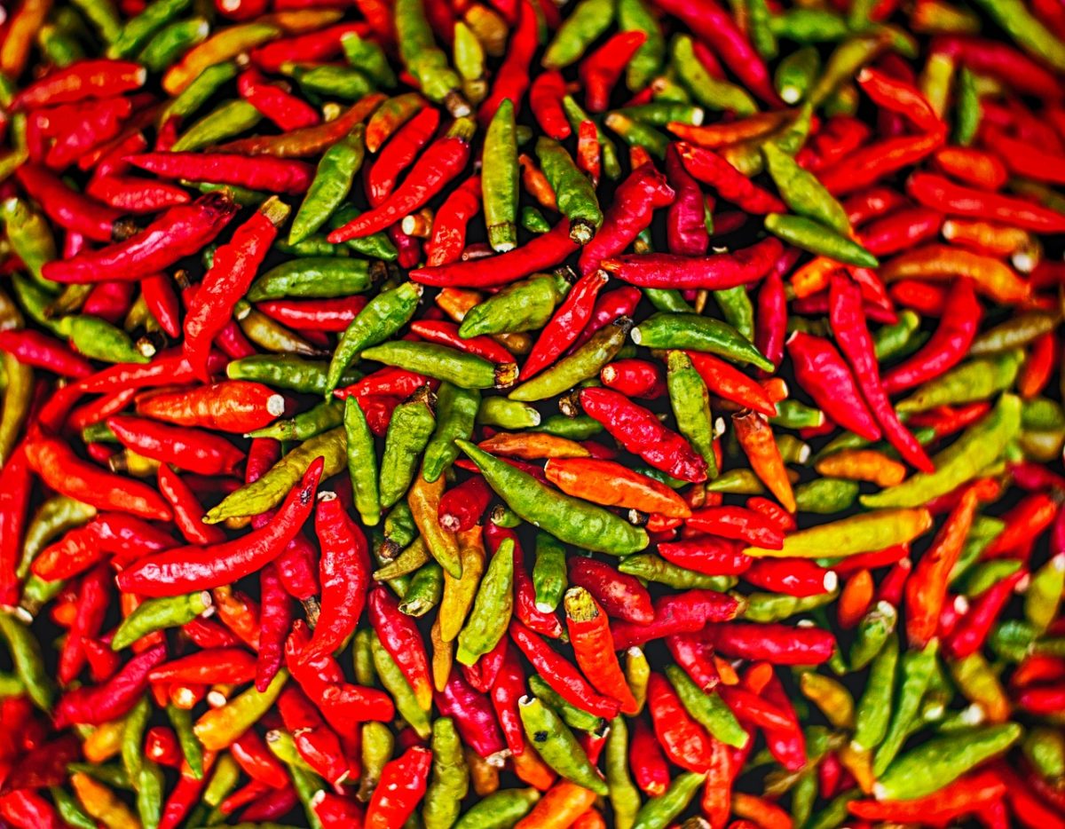 Tarahumaras: Significado, origen e historia y mucho más