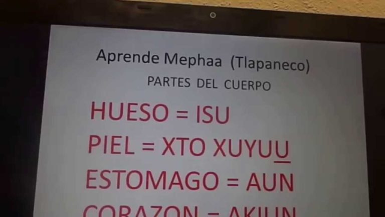 Tlapanecos: Significado, ubicación, organización social y mas