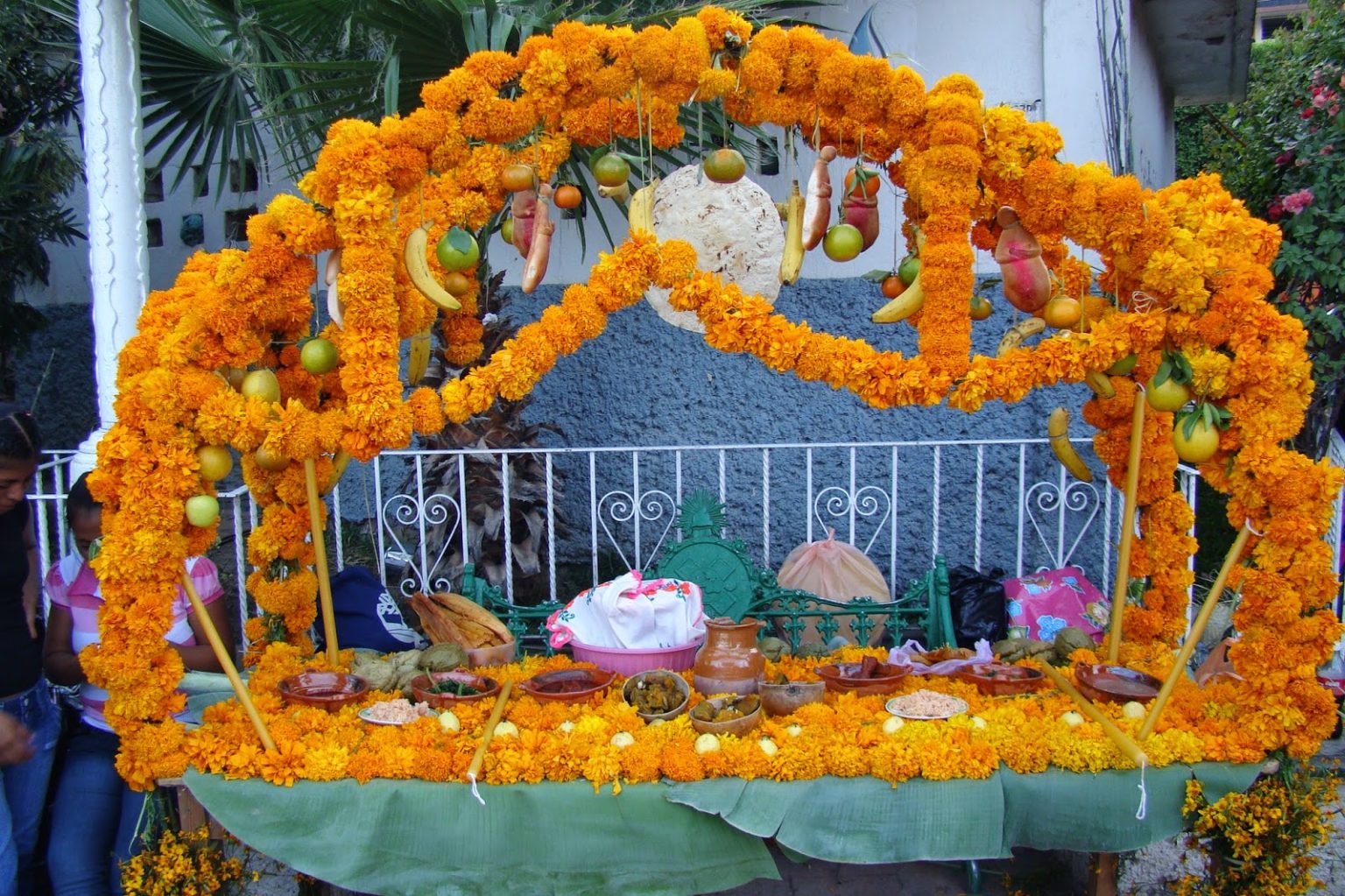 Tlapanecos: Significado, ubicación, organización social y mas