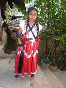 Tlapanecos: Significado, ubicación, organización social y mas