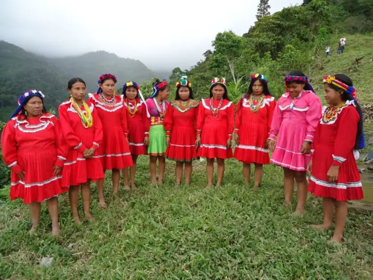 Embera chami: historia, ubicación, cultura y mucho mas