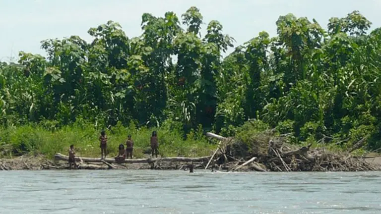 Aprende todo lo que necesitas sobre los Mashco piro