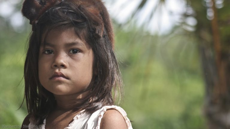 Aprende todo sobre los Amahuaca