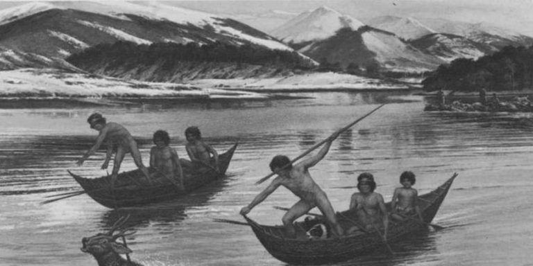 Aprende Todo Sobre los Chono y mucho mas de ellos