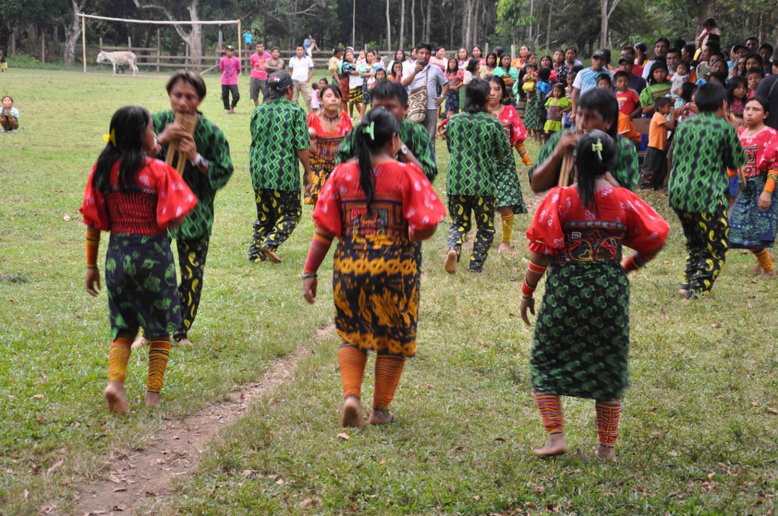 Descubre Todo Sobre Los Kunas y mucho mas de ellos