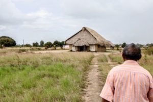 Descubre todo sobre los mapoyo y mucho mas de ellos