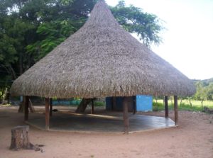 Descubre todo sobre los mapoyo y mucho mas de ellos