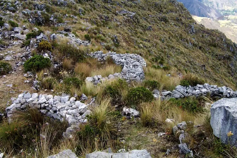 Pampas: Historia, significado, caracteristicas y mas