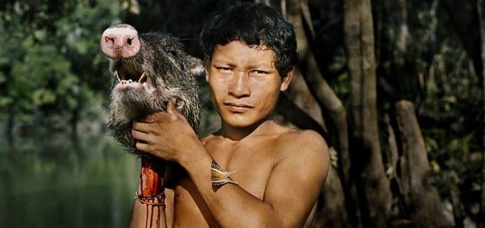 Descubre todo sobre los Piraha y mucho mas de ellos