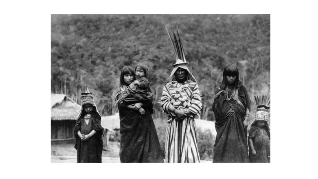 Ashaninkas: Historia, significado, ubicación y mucho más