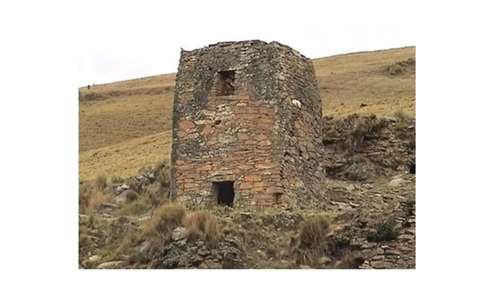 Aprende Todo Sobre los Yaros y mucho mas de ellos