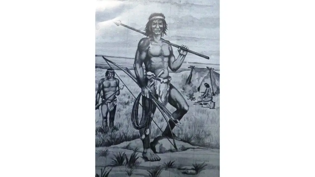 Pampas: Historia, significado, caracteristicas y mas