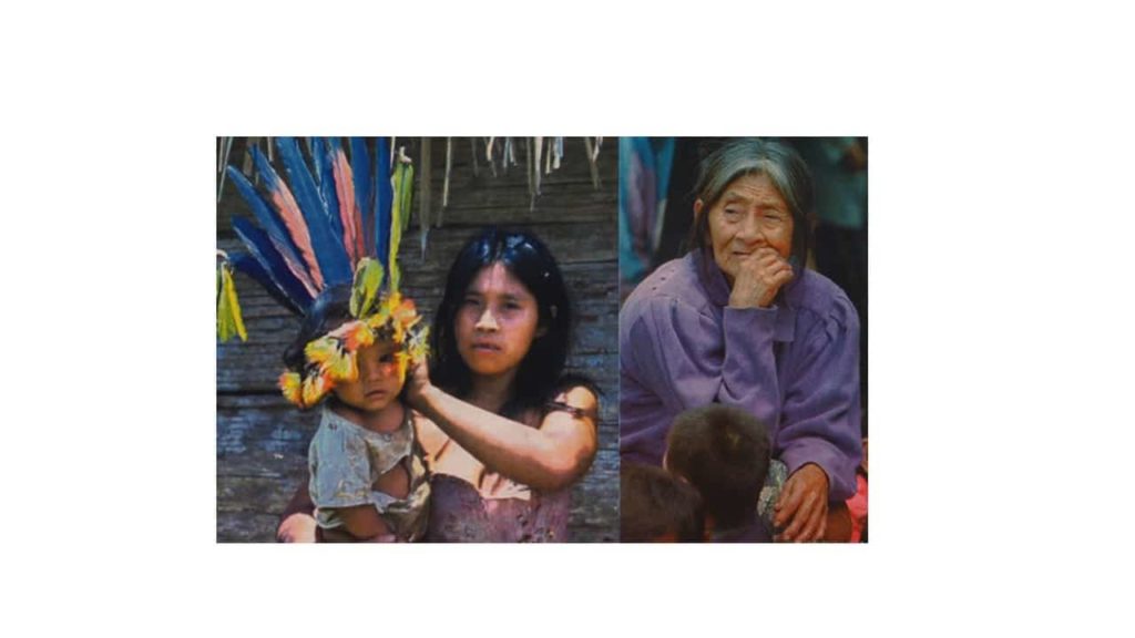 Aprende Todo Sobre los Chácobo y mucho mas de ellos