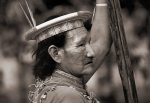 Secoya: Significado, Lenguaje, Costumbre y Mucho Mas