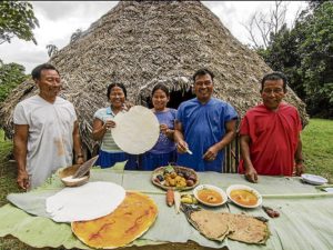 Secoya: Significado, Lenguaje, Costumbre y Mucho Mas
