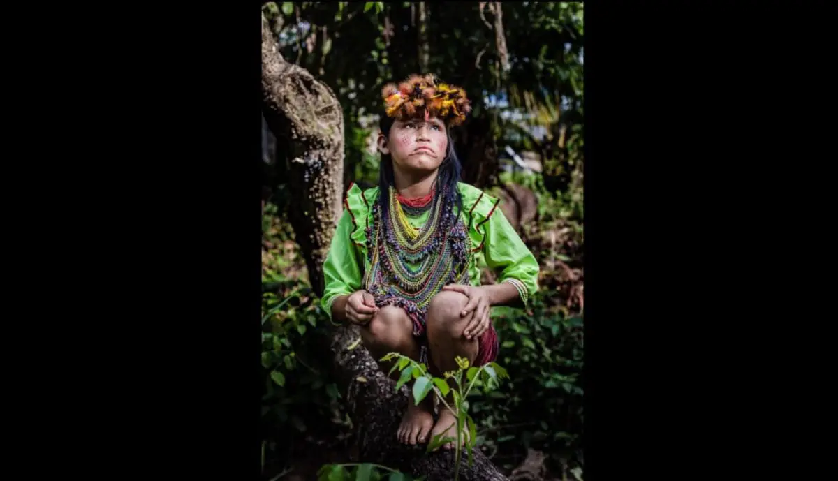 Descubre Todo Sobre Los Shawi y mucho mas de ellos