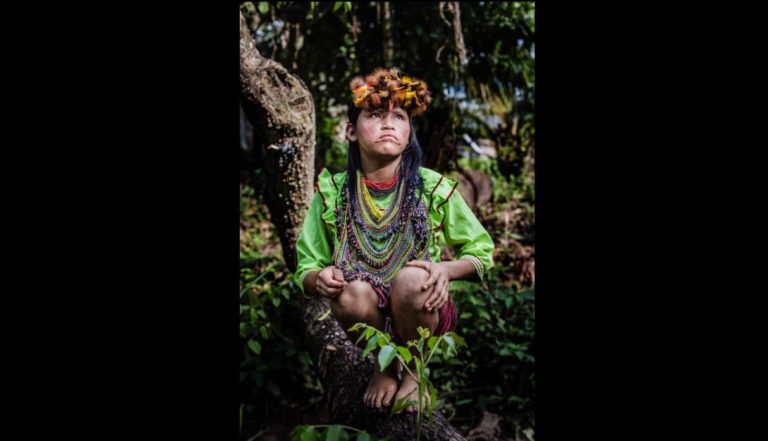 Descubre Todo Sobre Los Shawi y mucho mas de ellos