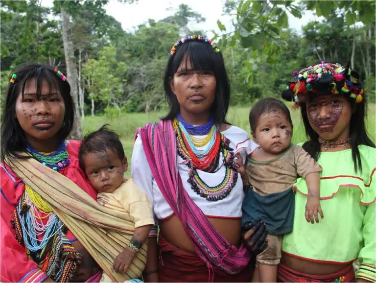 Descubre Todo Sobre Los Shawi y mucho mas de ellos