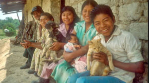 Tawahkas: Ubicación, Costumbre, Alimentación y Mas