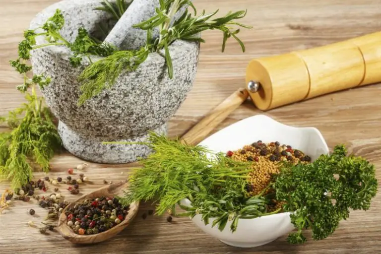 Tawahkas: Ubicación, Costumbre, Alimentación y Mas