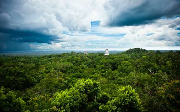 Tawahkas: Ubicación, Costumbre, Alimentación y Mas