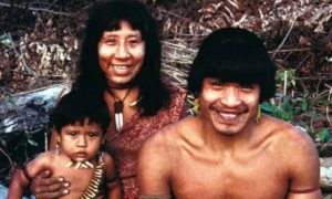 Descubre Todo Sobre los Apiaka y mucho mas de ellos