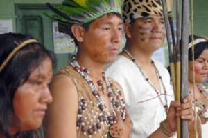 ¿Conoces a los Yuqui? Descubre Todo Sobre Ellos Aquí