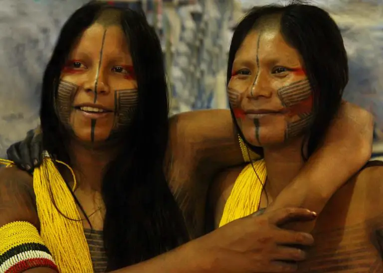 kayapo: Historia, Ubicación, significado, Lengua y mucho mas