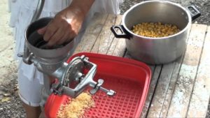 Arawacos: Ubicación, características, cultura y mucho mas