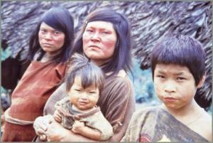 Ashaninkas: Historia, significado, ubicación y mucho más