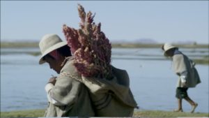 Descubre Todo Sobre Los Chipaya y mucho mas d eellos