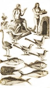 Cochimi: Historia, significado, ubicación, lengua y mucho mas