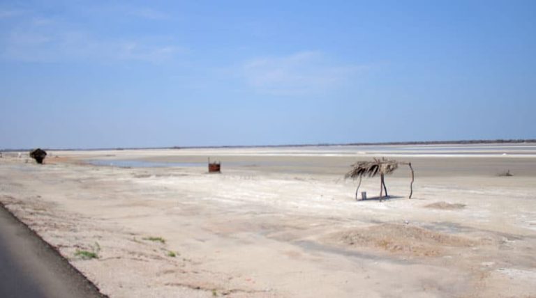 Guajiros: Historia, Ubicación, cultura, costumbre y mucho mas