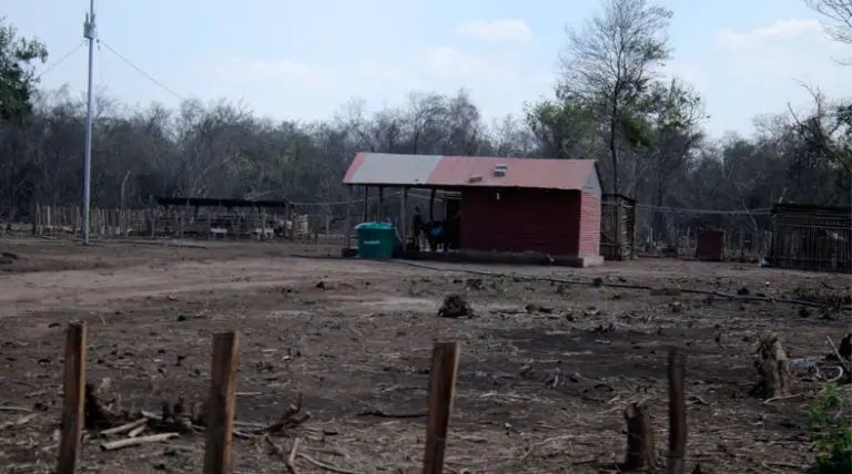 Guajiros: Historia, Ubicación, cultura, costumbre y mucho mas