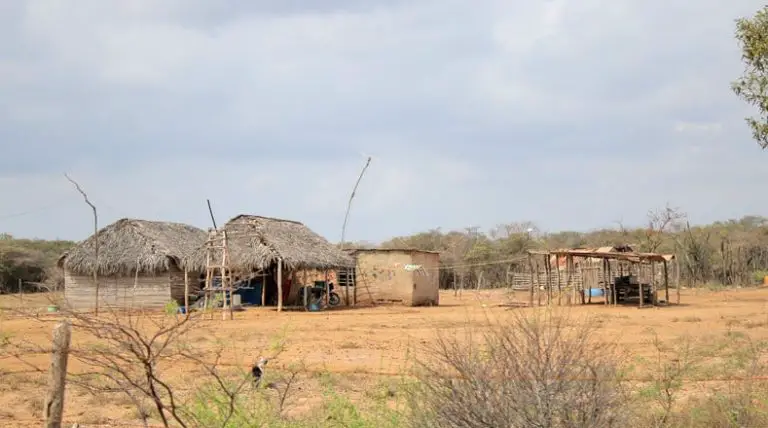 Guajiros: Historia, Ubicación, cultura, costumbre y mucho mas