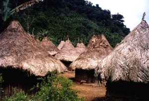 Descubre Todo Sobre Los Guane y mucho mas de ellos