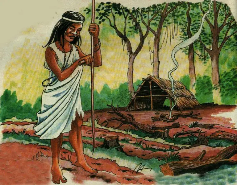 Guaraníes: Origen, historia, características y mucho mas