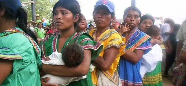 Aprende todo sobre los Teribe y mucho mas de ellos