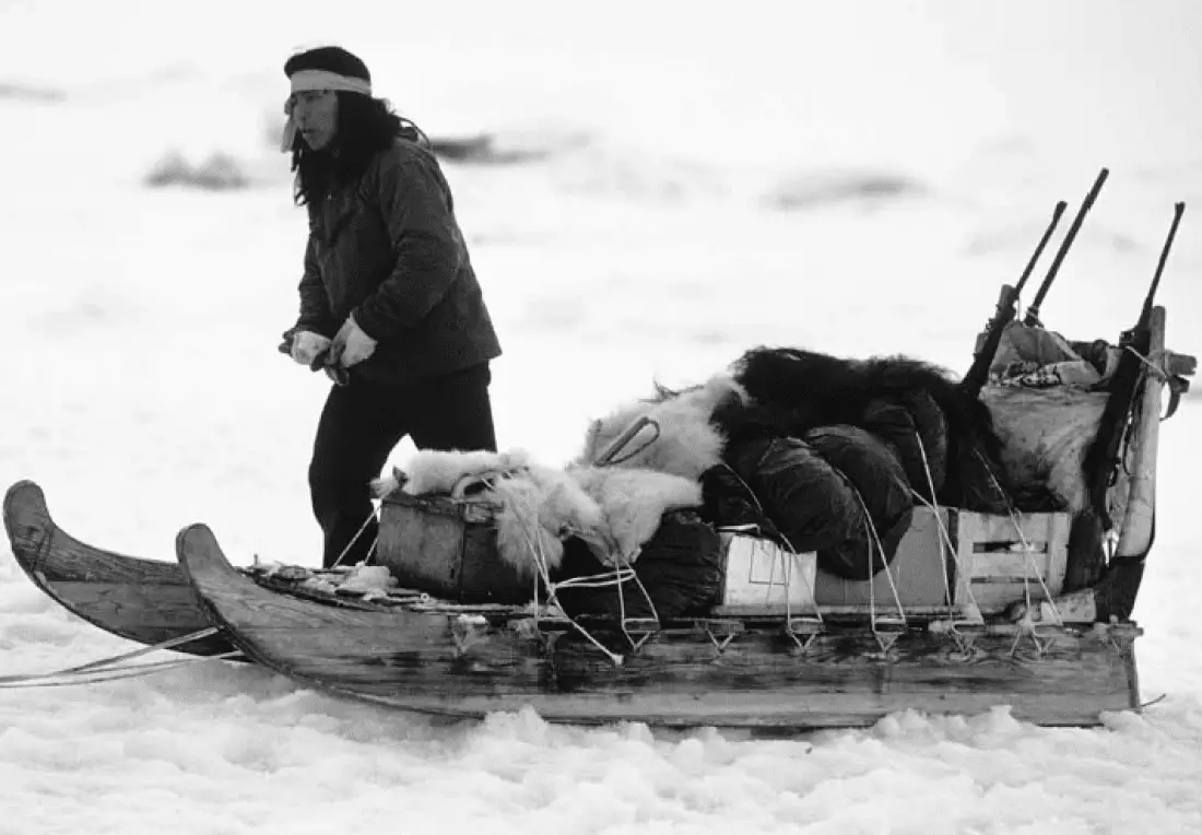 Inuit: Significado, cultura, costumbre y mucho mas referente al tema