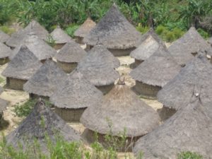 Kogui: Historia, ubicación, lengua, costumbres, y mucho mas