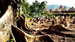 Kogui: Historia, ubicación, lengua, costumbres, y mucho mas