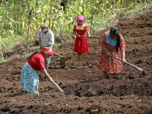 Lencas: Significado, Ubicación, Costumbres y más.